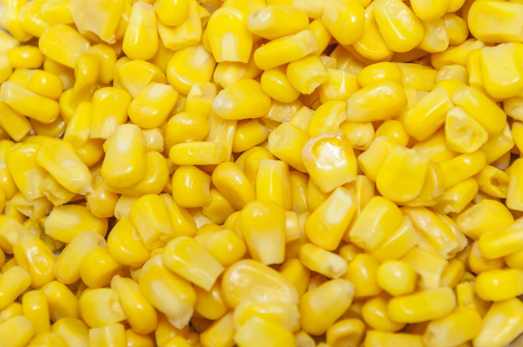 ELOTE AMARILLO DESGRANADO DEL MONTE GALON | Multicongelados